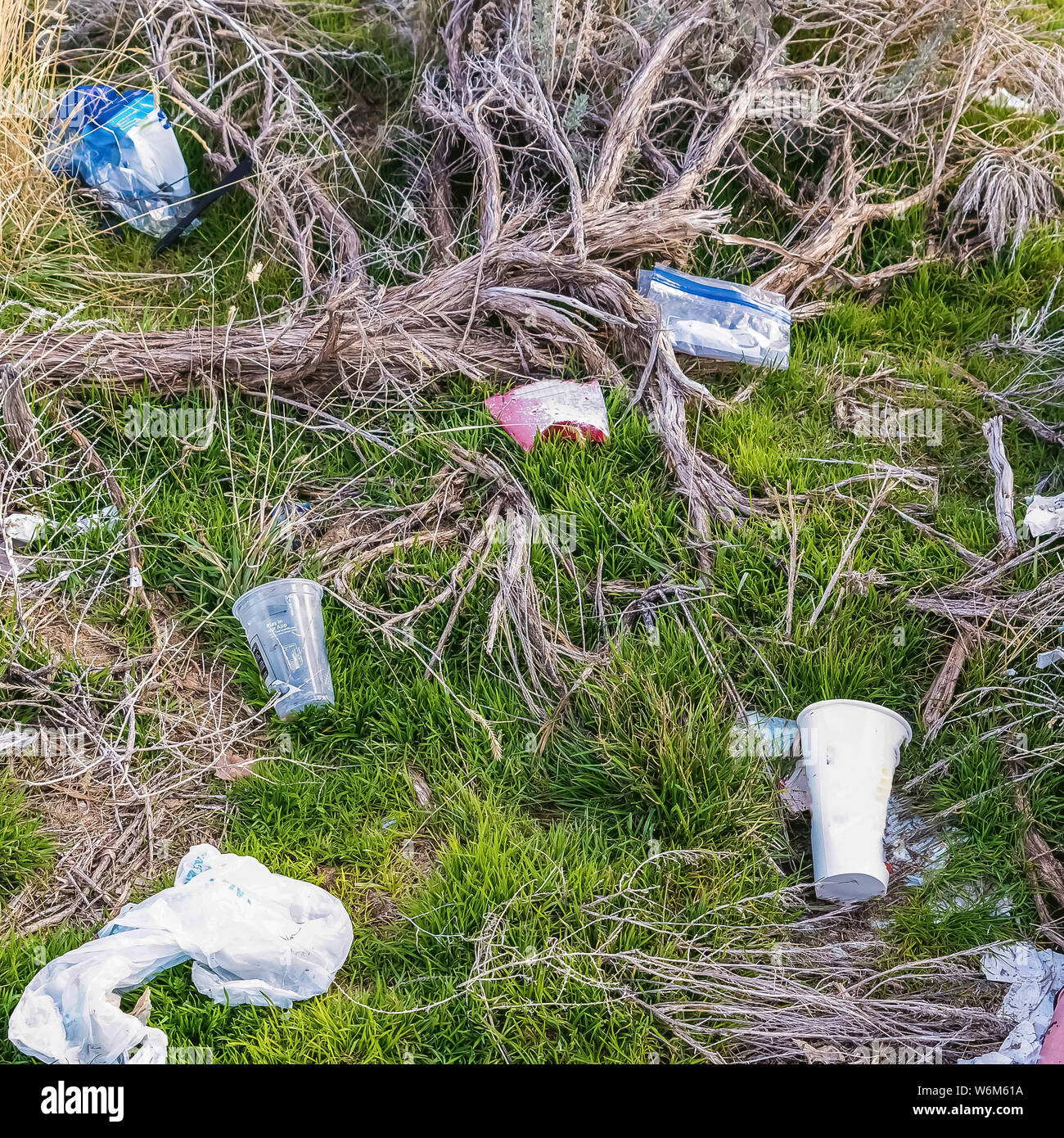 Plastics garbage hi-res stock photography and images - Alamy