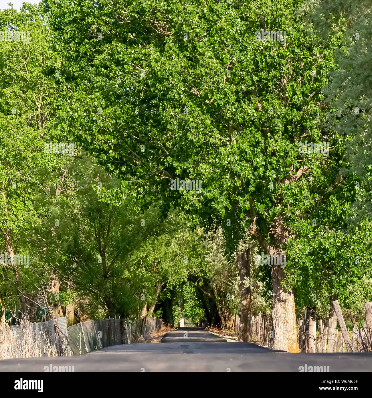 Square frame Close up of a long paved road with chain link fence on a ...