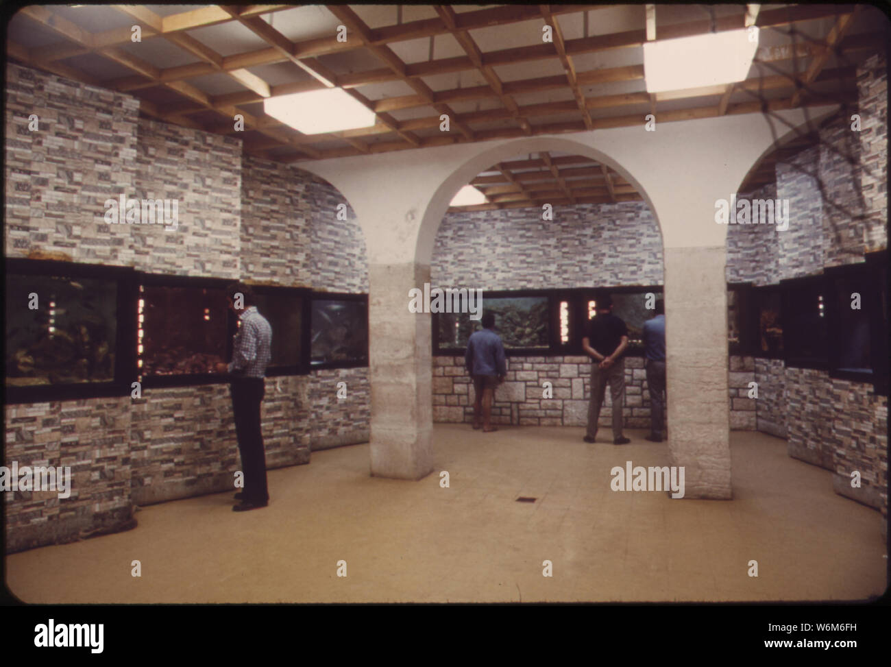 THE AQUARIUM AT THE ROVENJ BRANCH OF THE RUDER BOSKOVIC INSTITUTE Stock ...