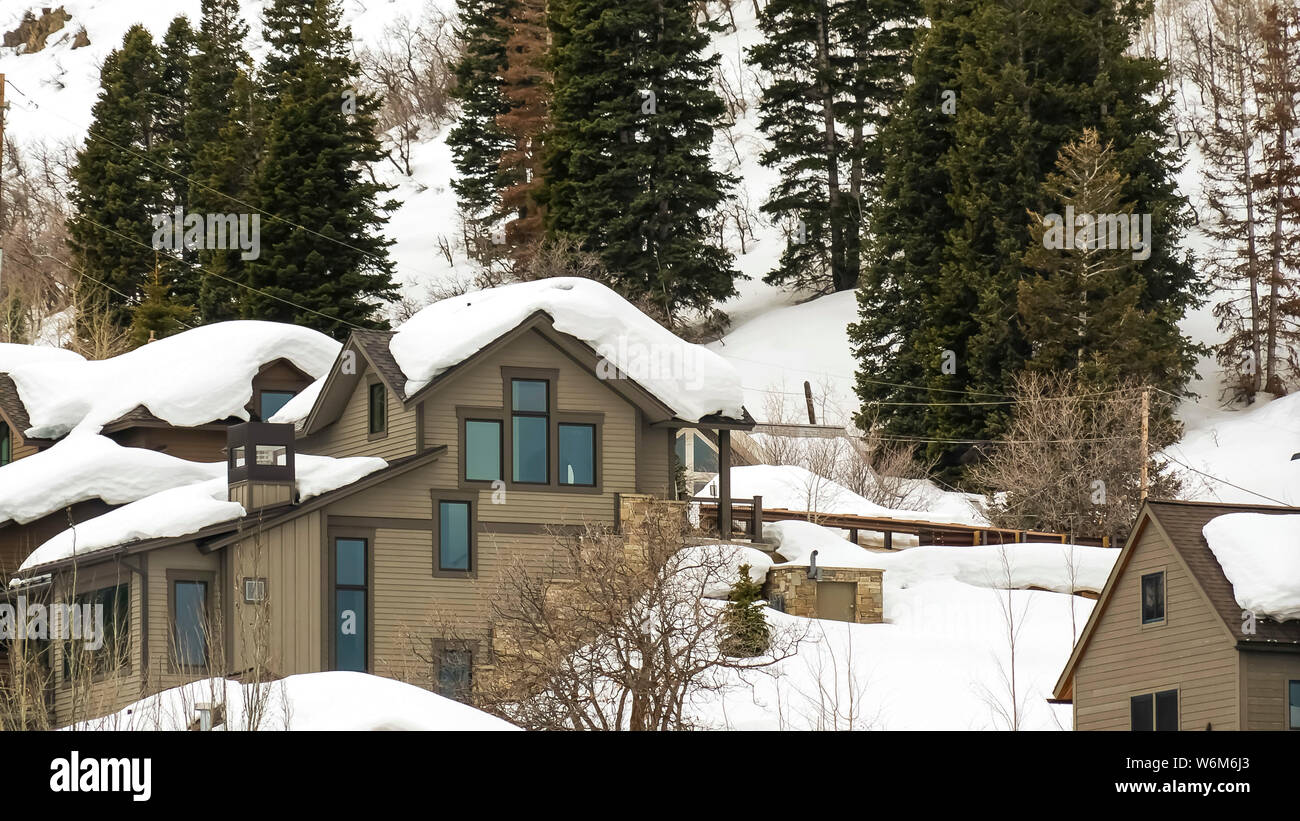 Panorama frame Homes and coniferous trees on a mountain covered with ...