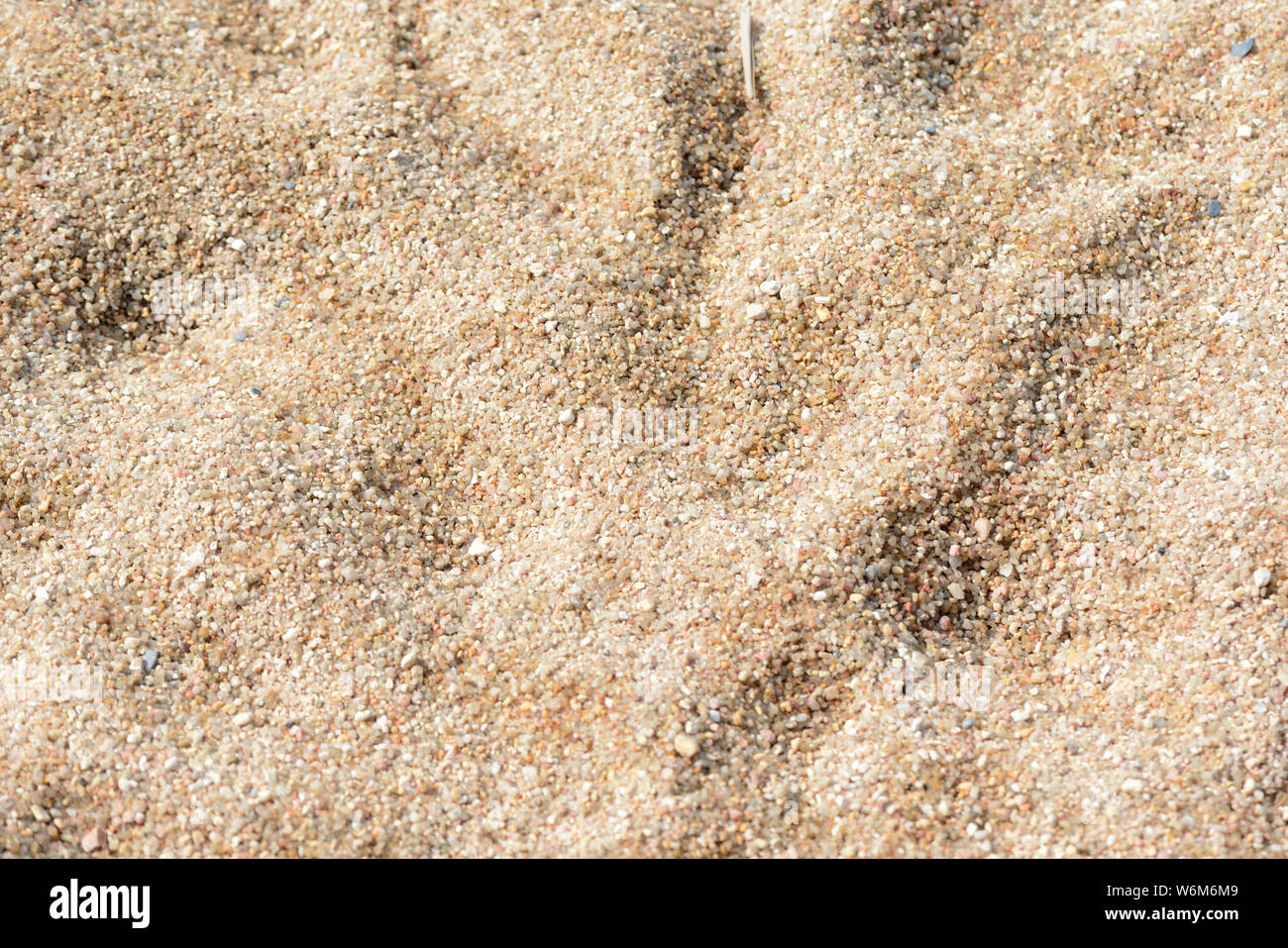 Sand texture on the beach closeup. Natural abstract background Stock ...