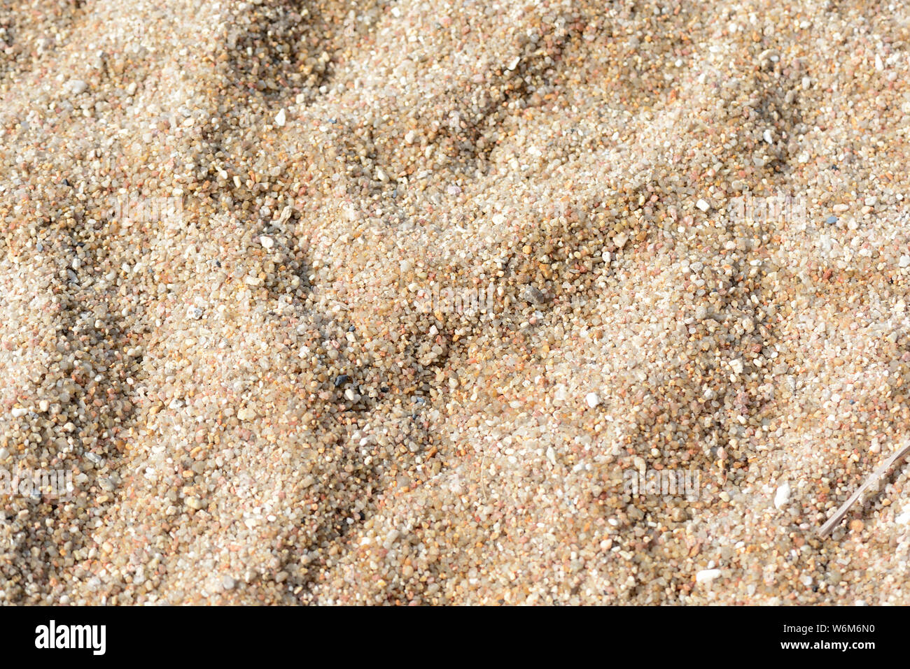 Sand texture on the beach closeup. Natural abstract background Stock ...
