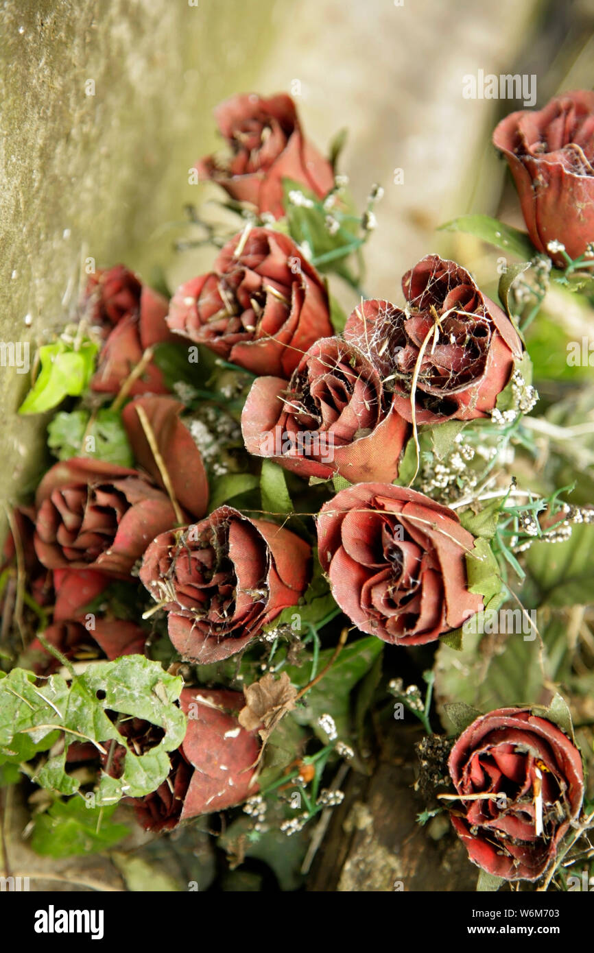 Faded red roses on old gravestone Stock Photo - Alamy