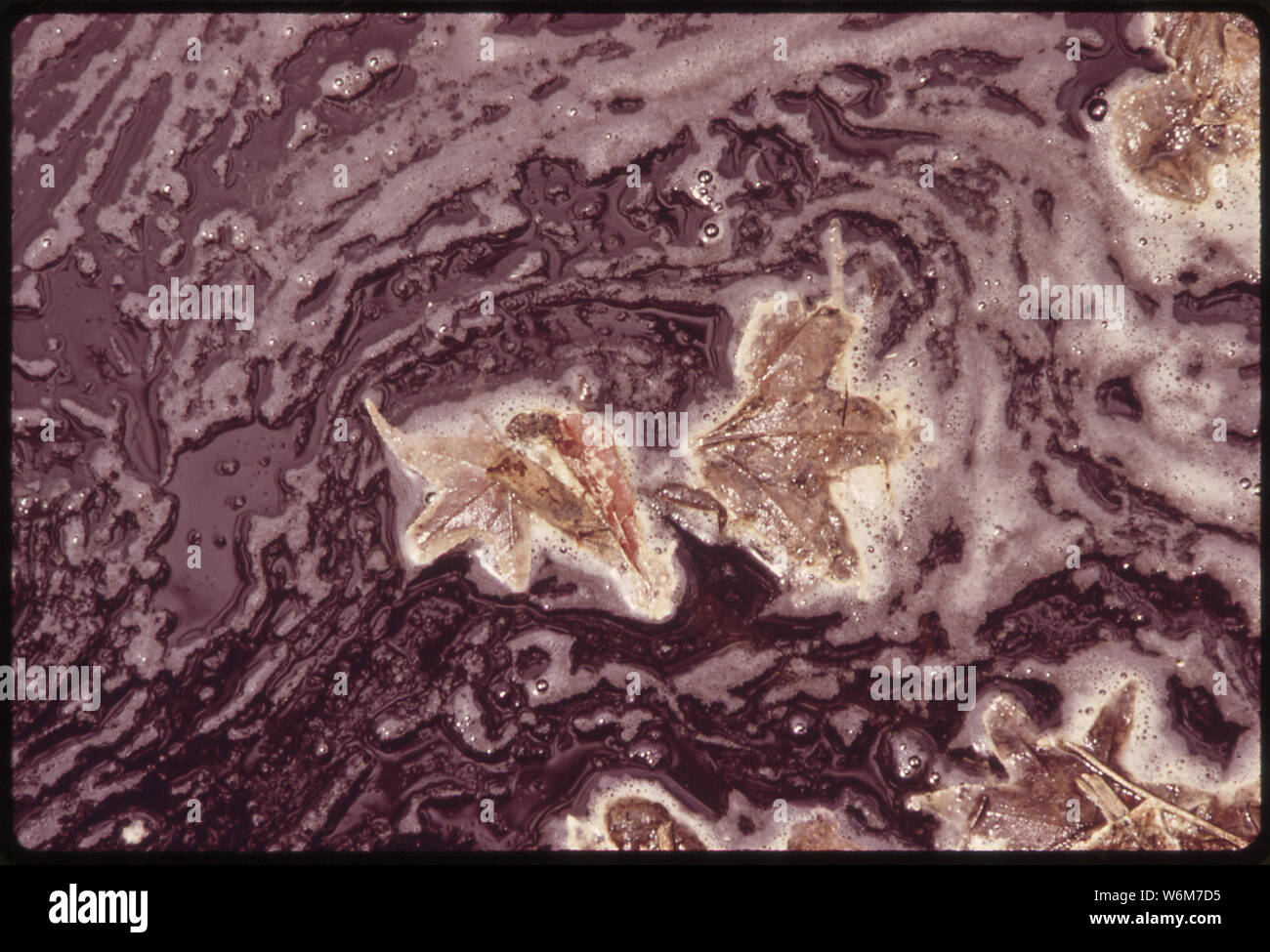 THE CONTAMINATED WATER OF MILL CREEK. WASTE FROM THE CALCASIEU PAPER ...