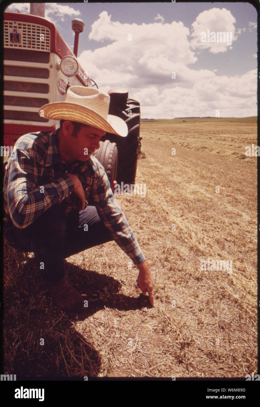 THE JOHN REDDING RANCH IN SARPY BASIN IS THREATENED BY STRIP-MINING ...