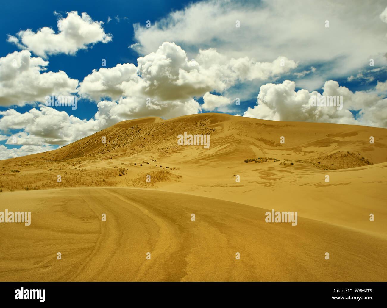 Mongolia. Sands Mongol Els, sandy dune desert, bright sunny day Stock ...