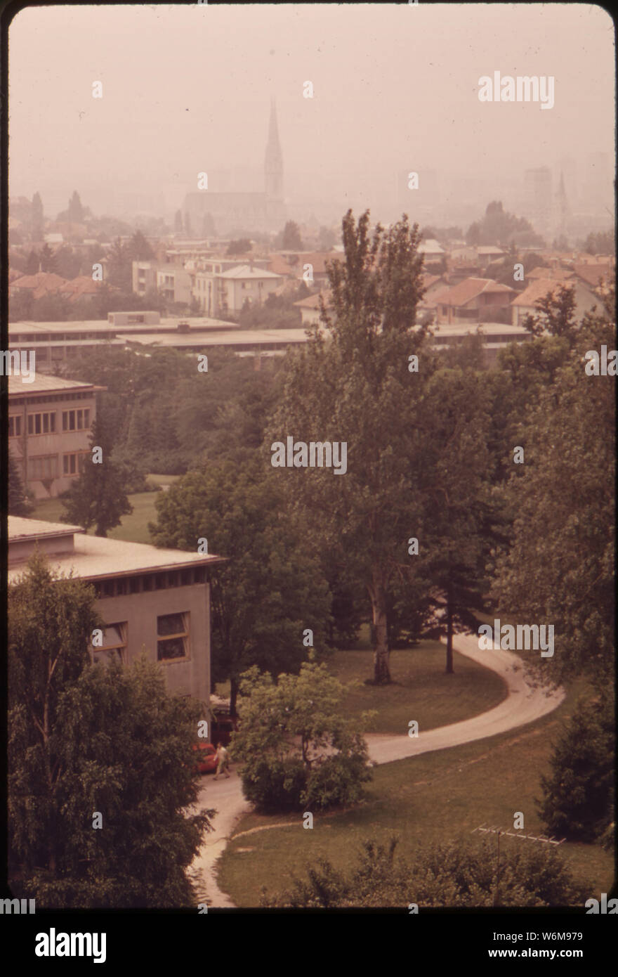 THE RUDER BOSKOVIC INSTITUTE CONDUCTS VARIOUS SCIENTIFIC RESEARCH ...