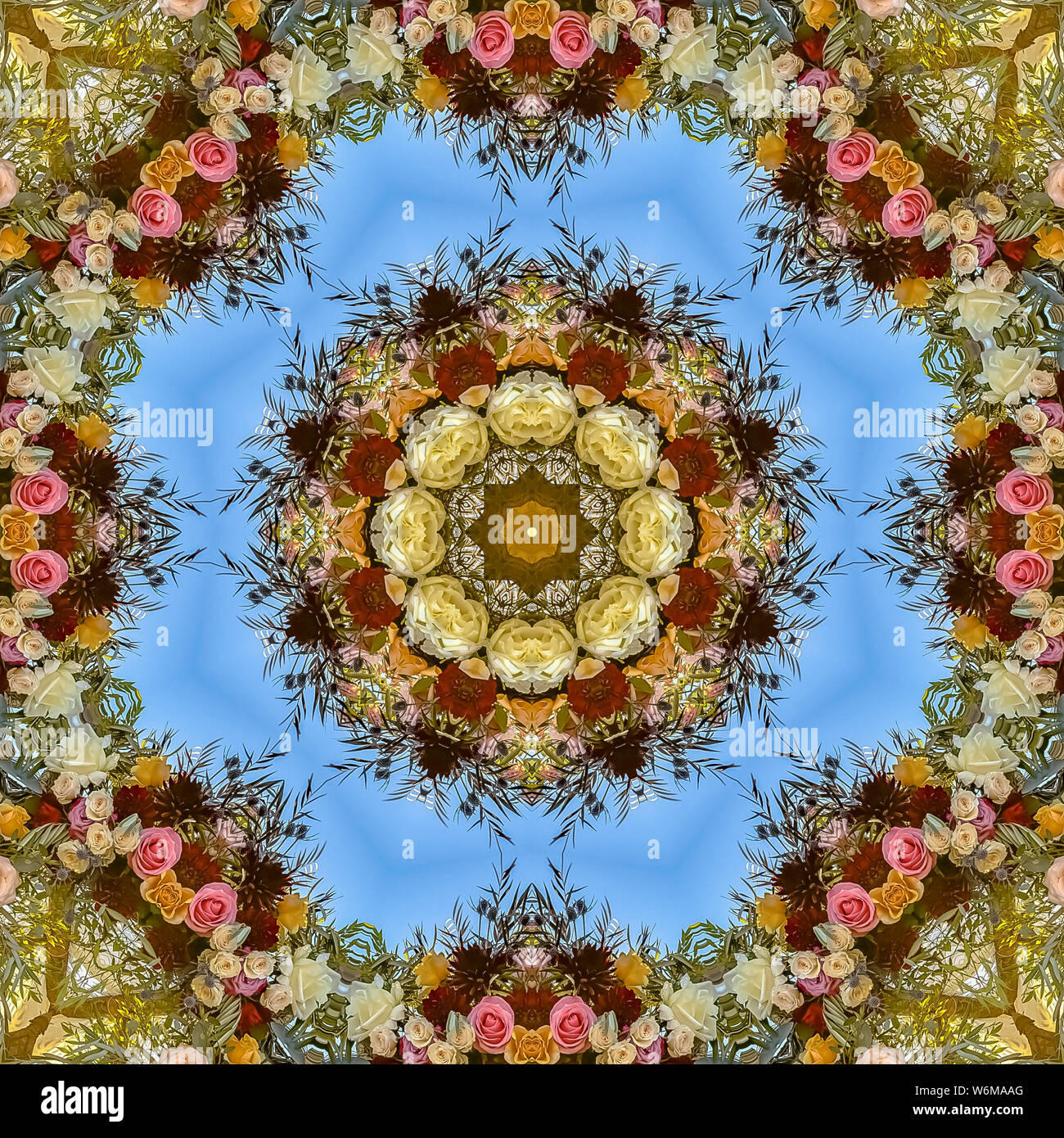Square Vivid display with colorful spots of flowers in circular ...