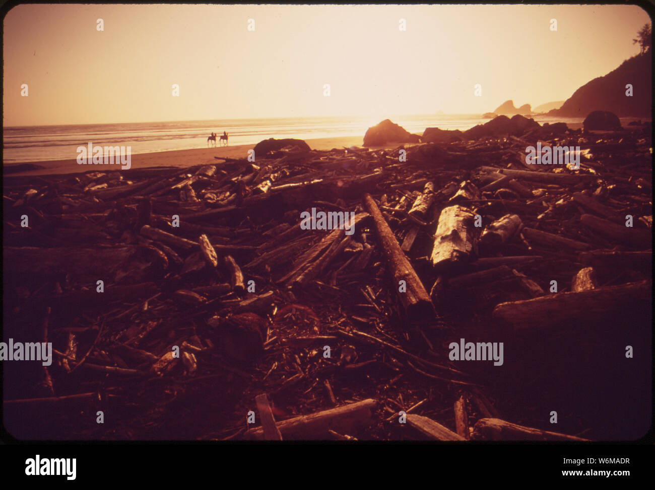 TIMBER-STREWN BEACH NEAR TRINIDAD Stock Photo - Alamy