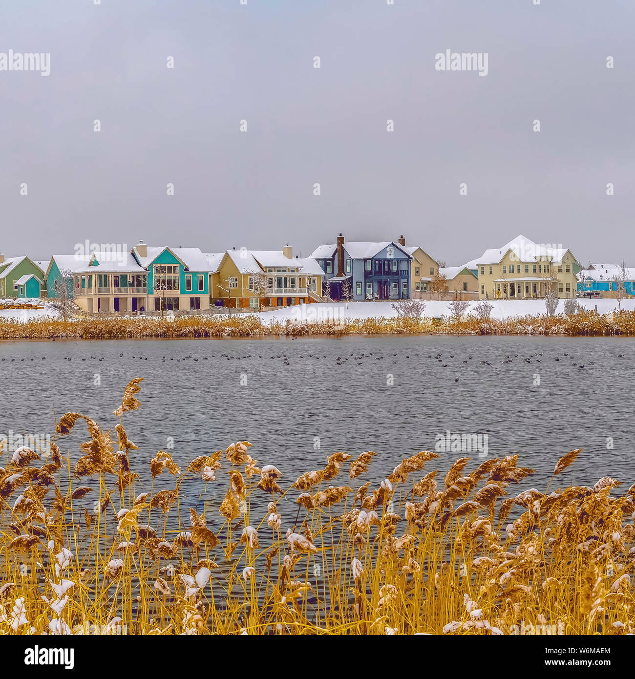 Square Silvery lake with yellow grasses on the snow covered shore in ...