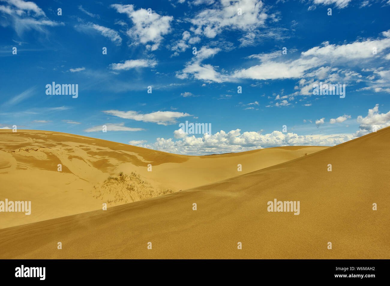 Mongolia. Sands Mongol Els, sandy dune desert, bright sunny day Stock ...