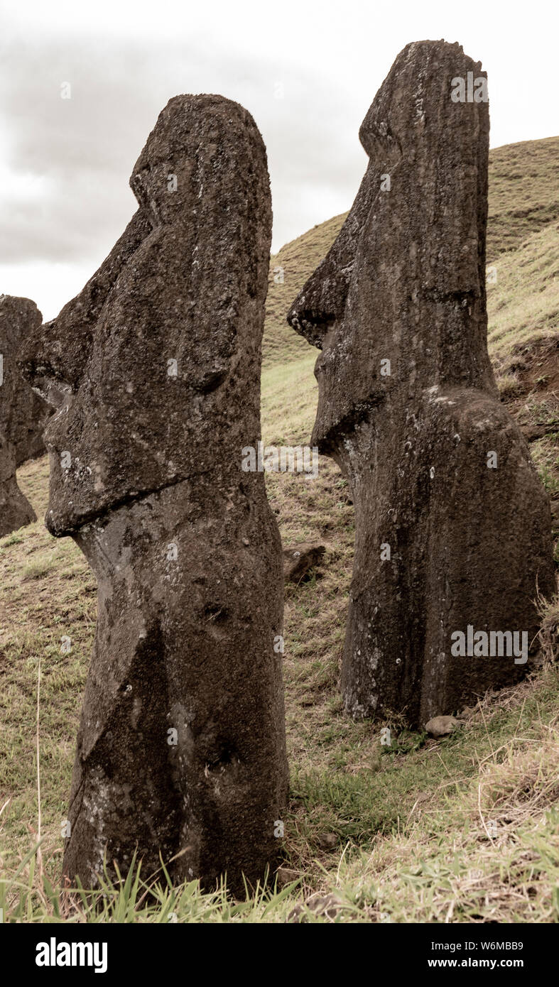 Monumental moai statues of rapa nui hi-res stock photography and images ...