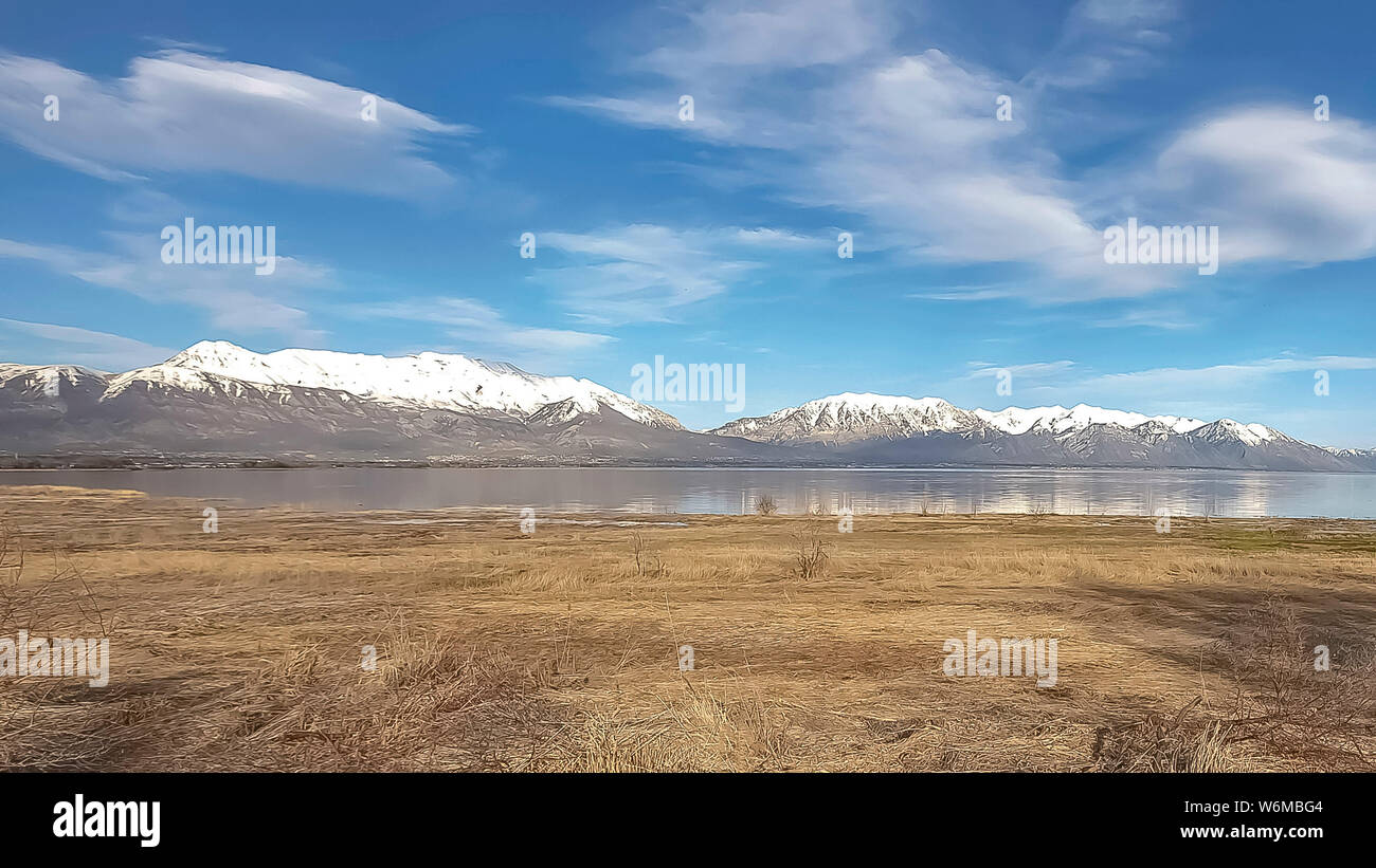 Panorama Brown grasses and small trees thriving on the shore of a shiny ...