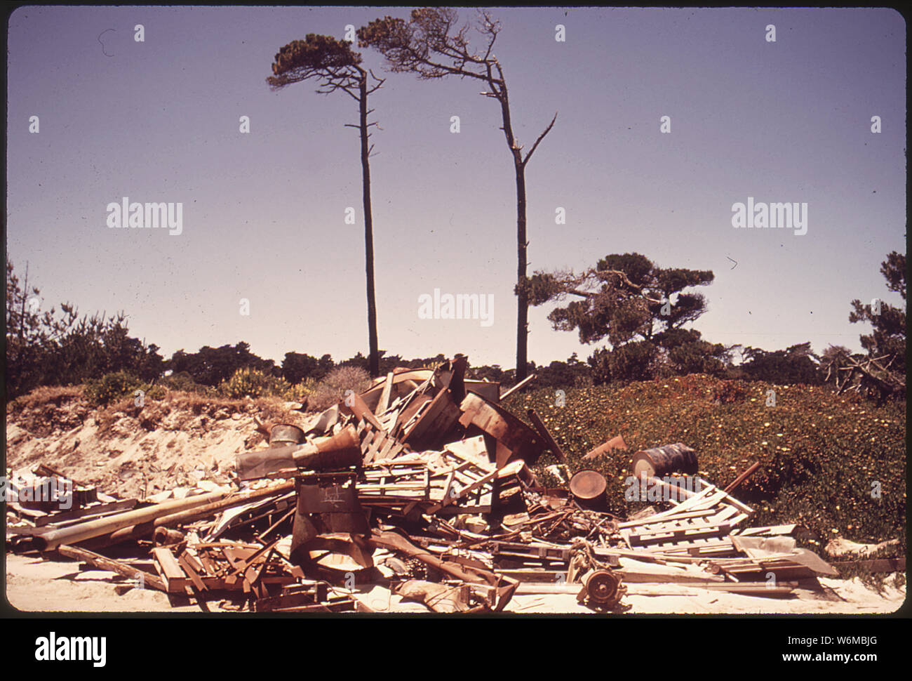 TRASH ON BEACH Stock Photo - Alamy