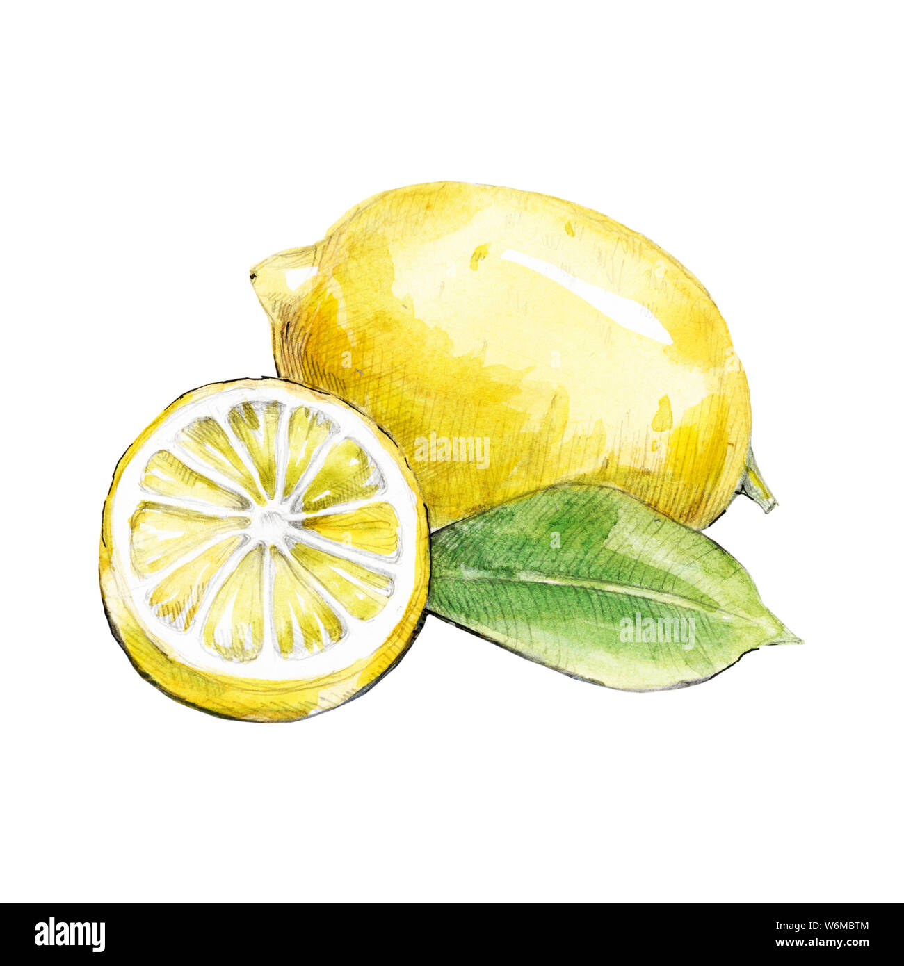 lemon watercolor illustration on white background Stock Photo - Alamy