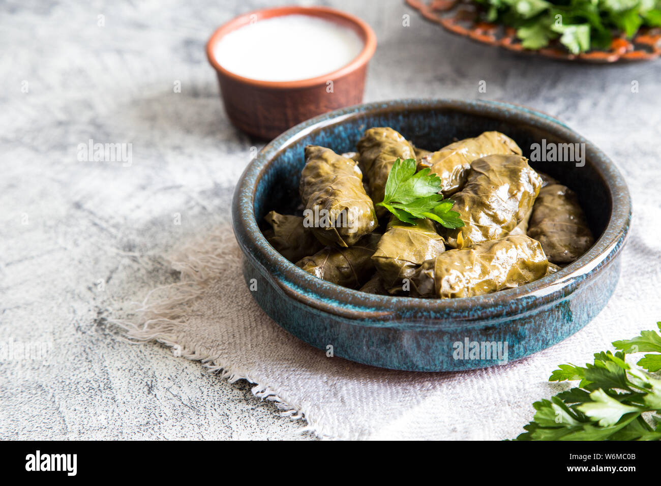 Traditional dolma (sarma) in grape leaves with copyspace. Lebanon ...