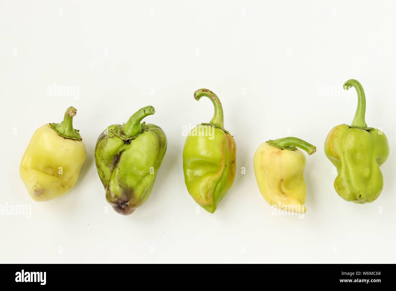Five ugly organic bell pepper on white background, ugly food concept ...