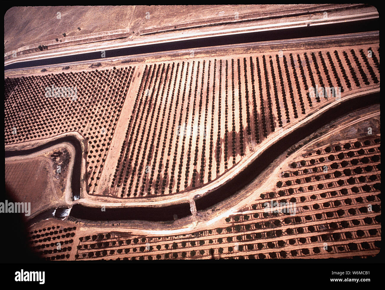 TWO IRRIGATION CANALS SERVING CITRUS RANCHES Stock Photo - Alamy