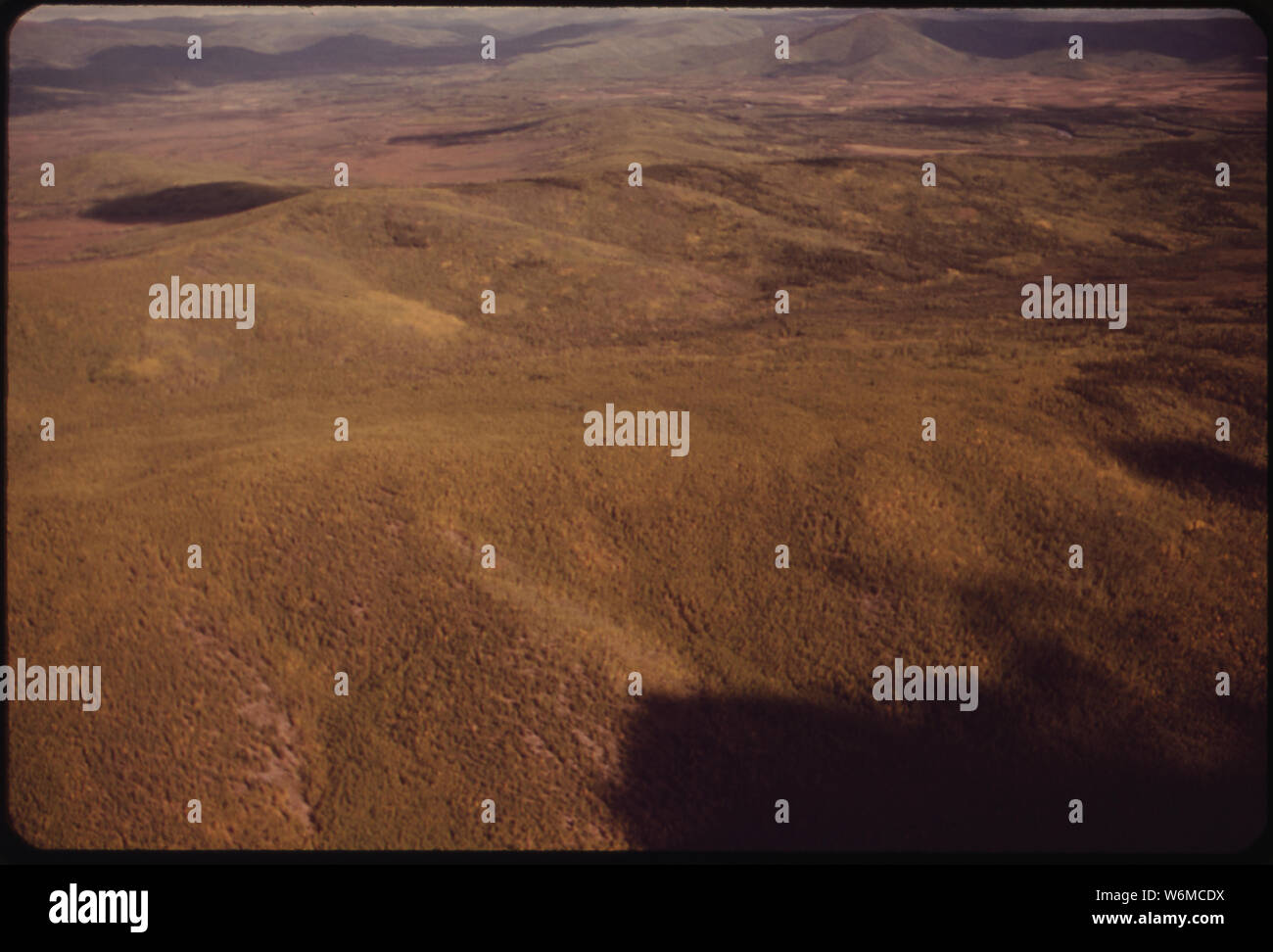 TYPICAL COUNTRY IN THIS AREA OF THE ROUTE: MUSKEG LOWLANDS TAIGA FOREST ...