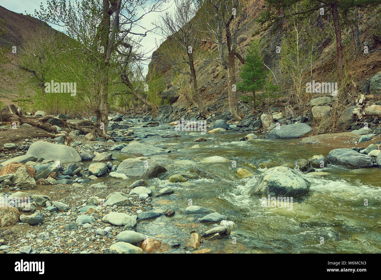 altay shan mountains