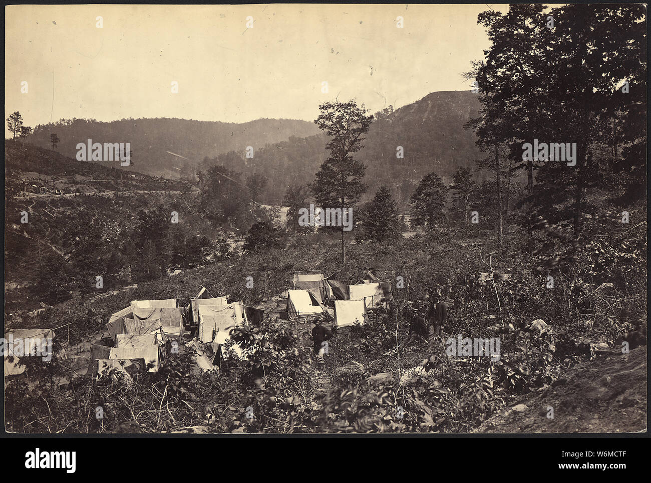 Raccoon range hi-res stock photography and images - Alamy