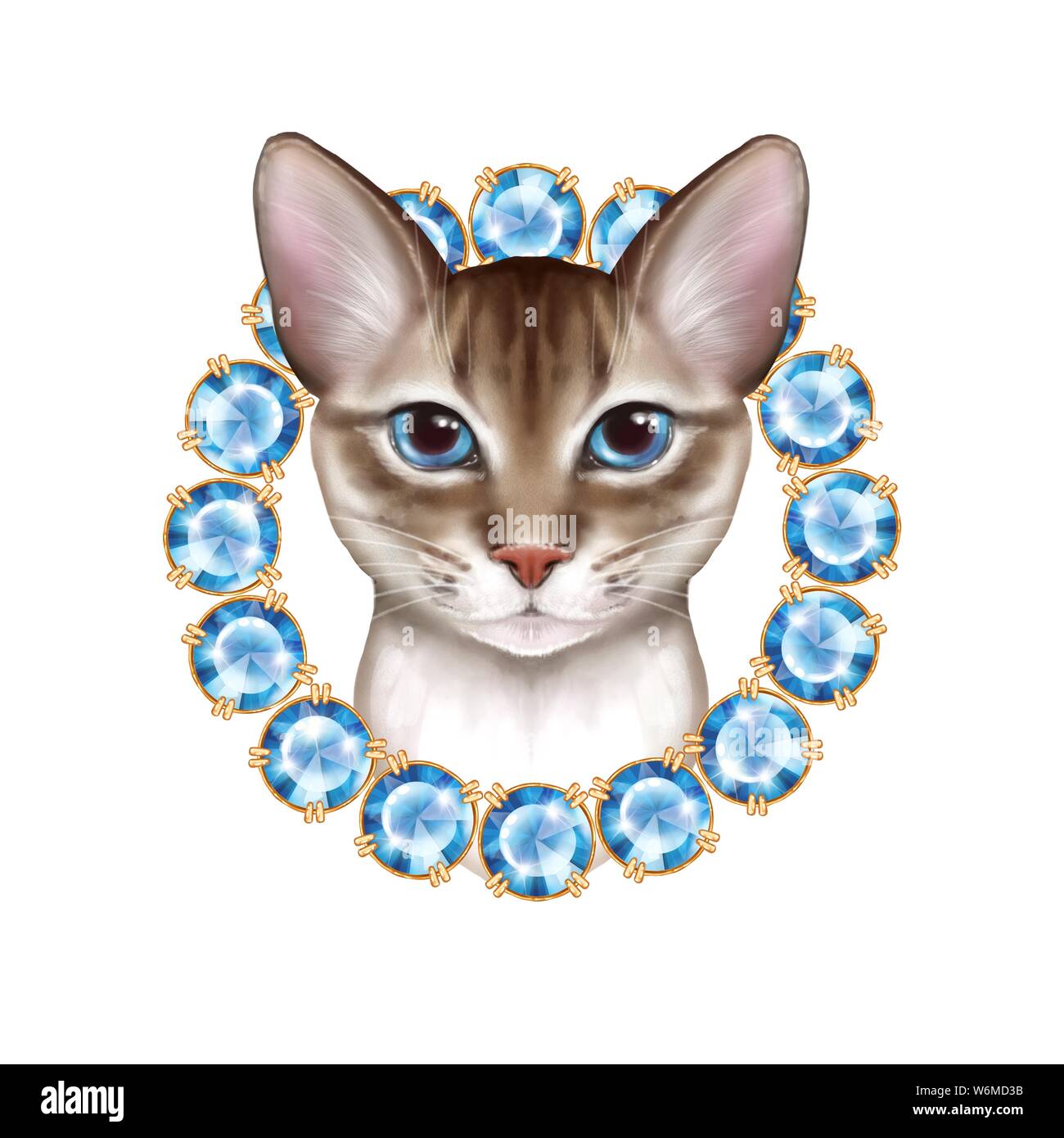 Cat with blue gems Stock Photo - Alamy