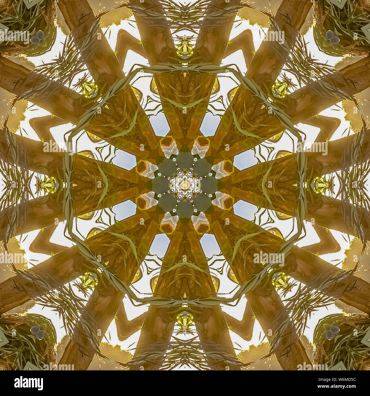 Square Wild angular shapes of a flower arrangement showing only leaves ...