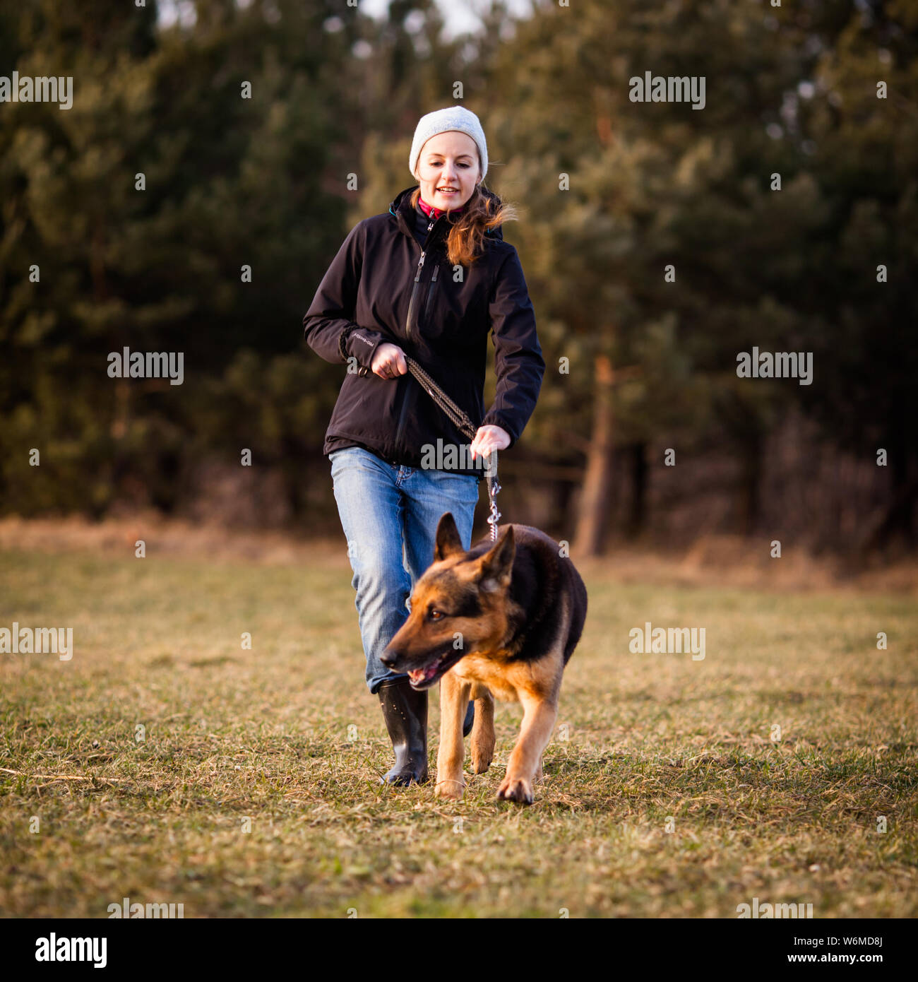 Master and her disobedient (German shepherd) dog Stock Photo - Alamy