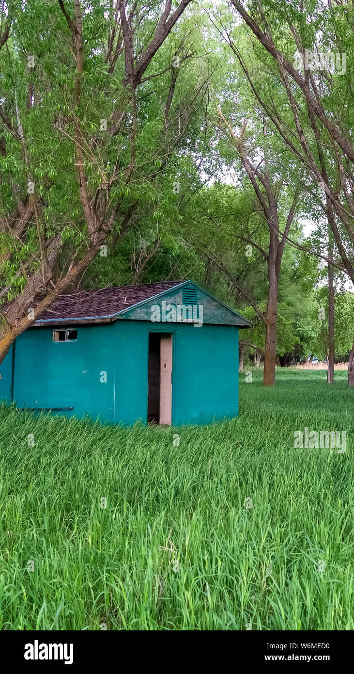Vertical Green shed on a grassy field surrounded by trees under bright ...