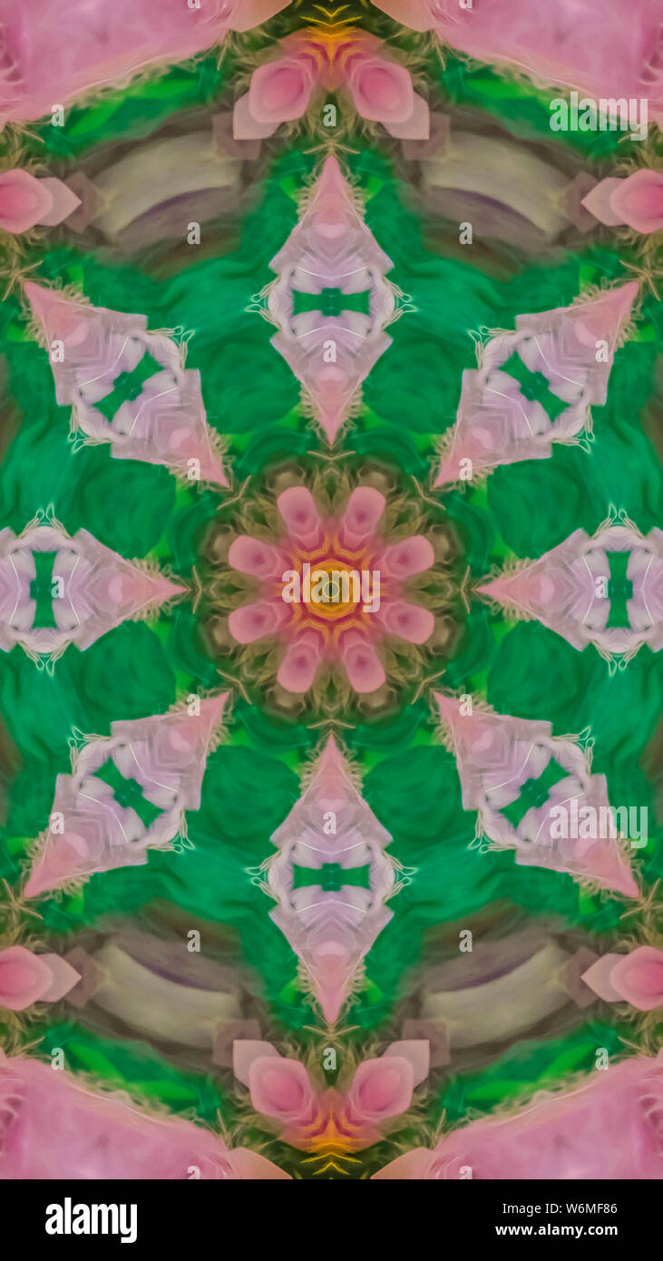 Vertical Star shapes created from feathers in pattern Stock Photo - Alamy