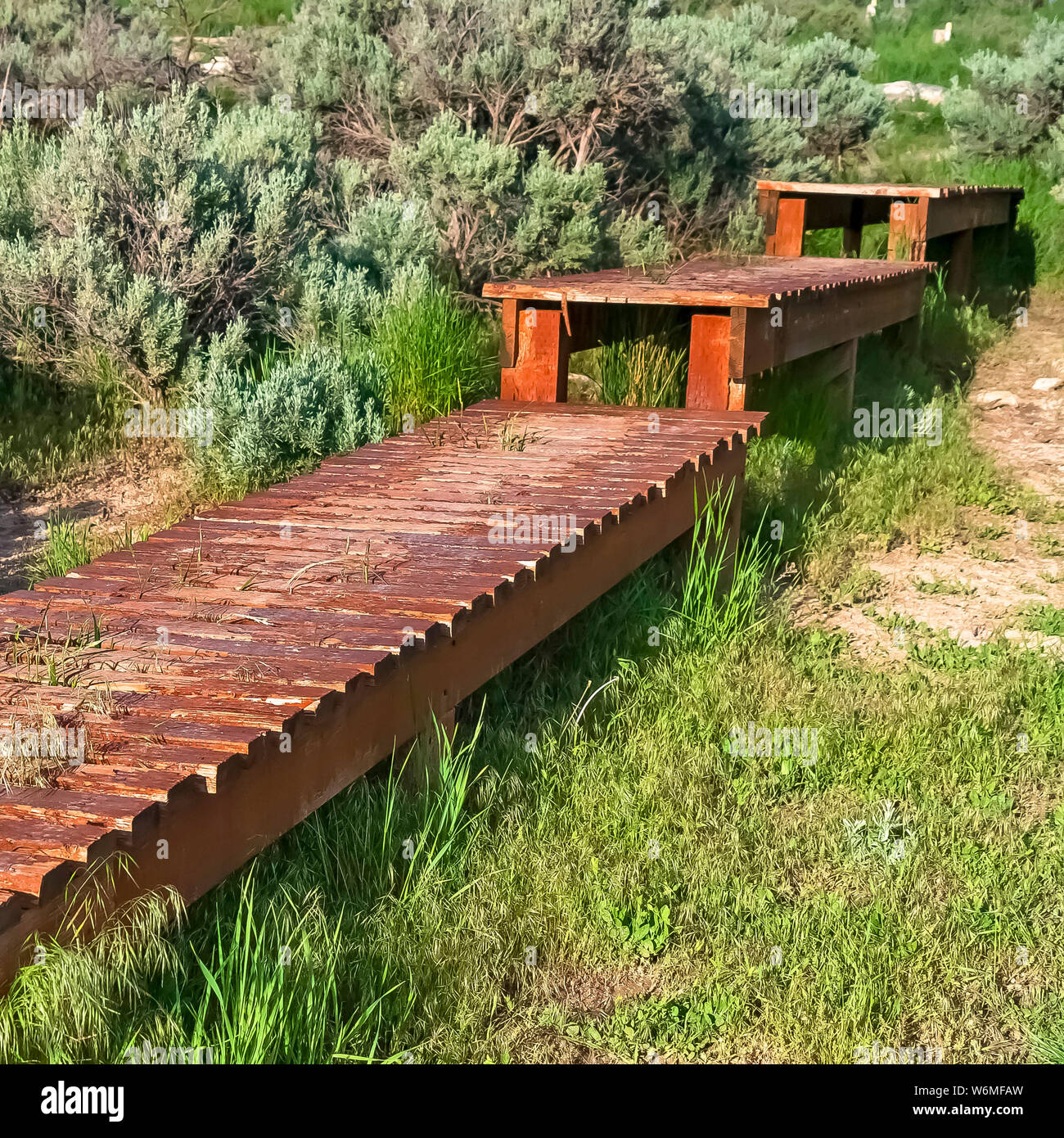 Square frame Close up of elevated wooden bike tracks amid grasses and ...
