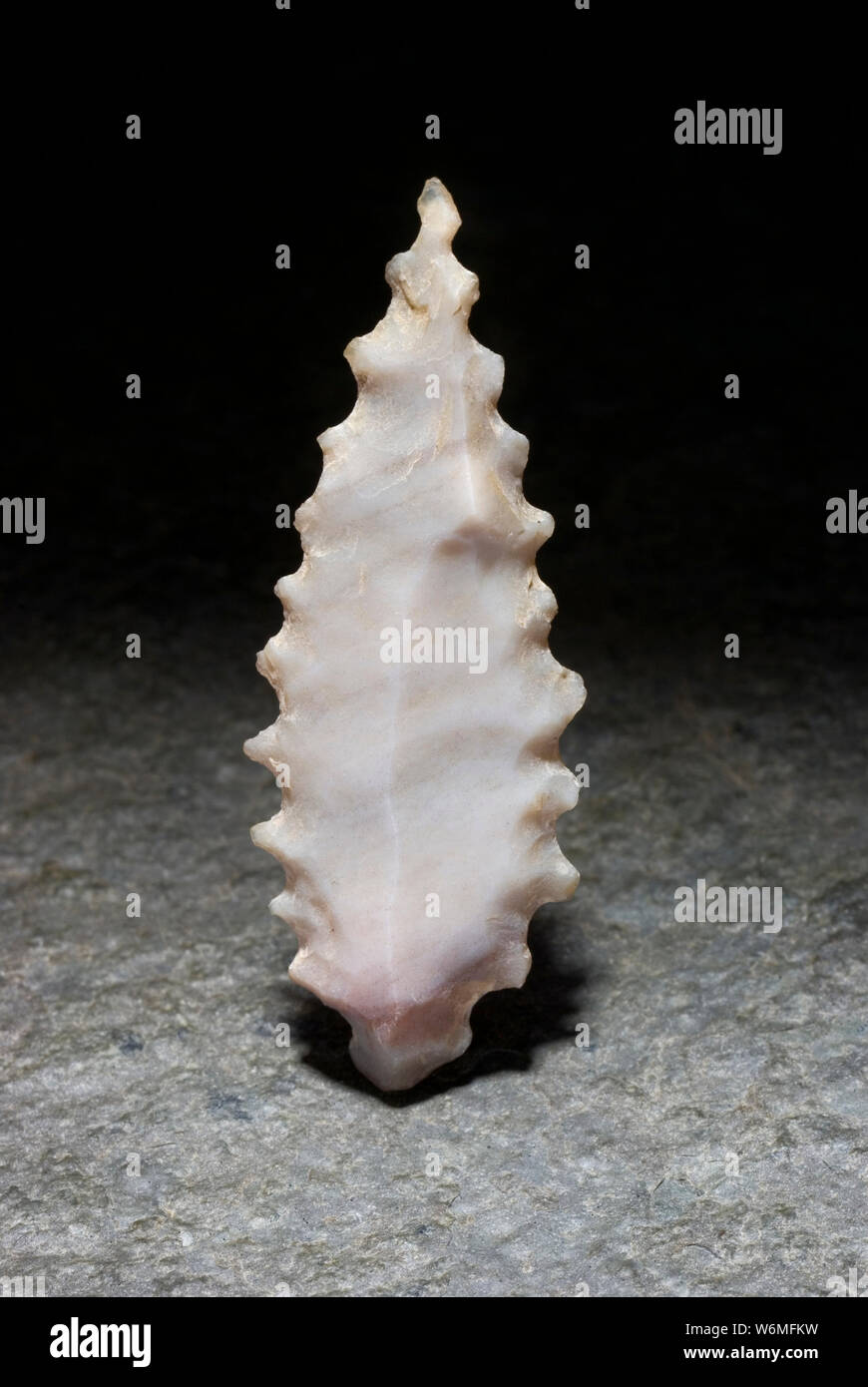 Neolithic arrowhead hi-res stock photography and images - Alamy