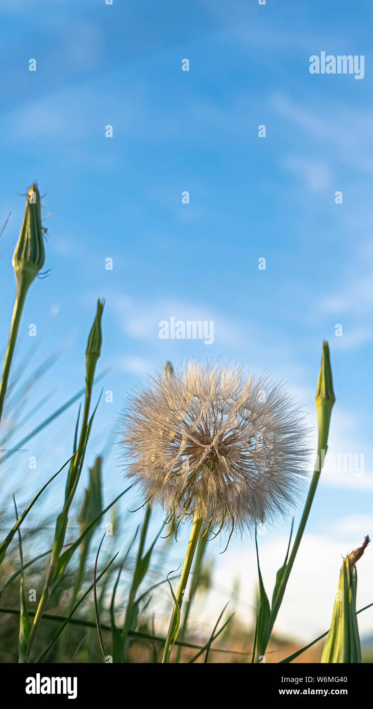 Scenery vertical hi-res stock photography and images - Alamy