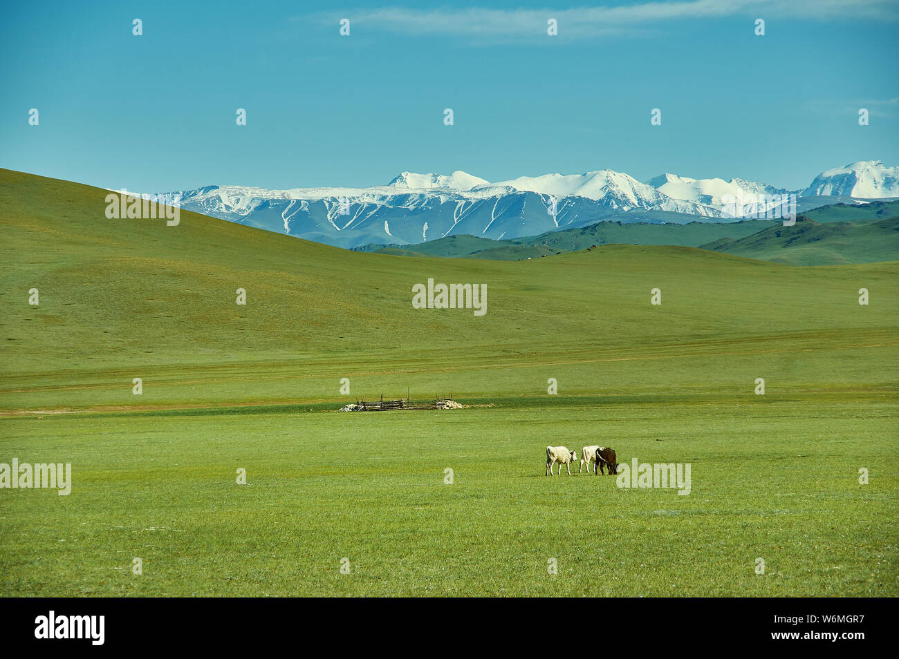 Pass Ulaan davaa, capital of Uvs Province in Mongolia Stock Photo - Alamy