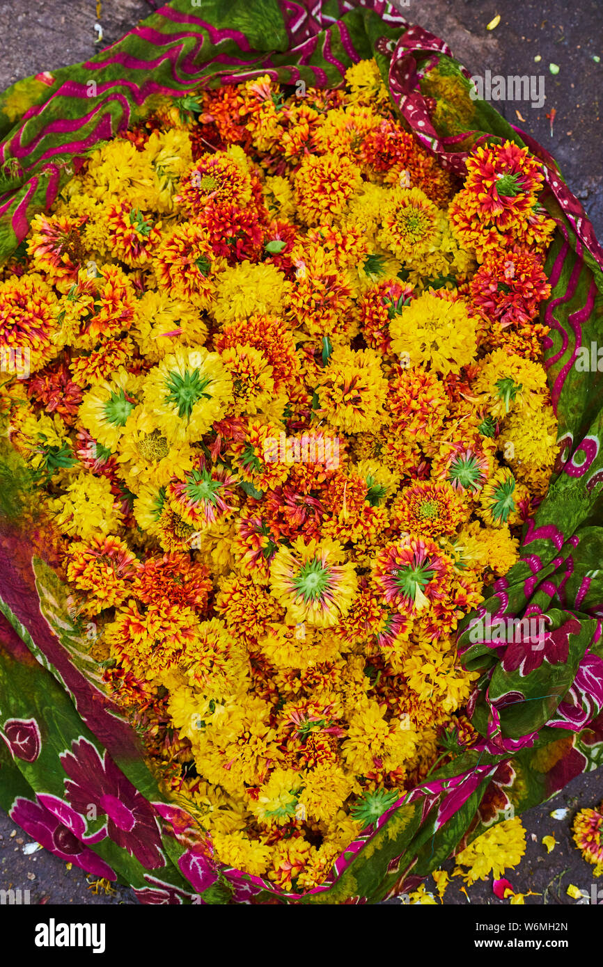 India, Rajasthan, Jaipur, flower market Stock Photo - Alamy