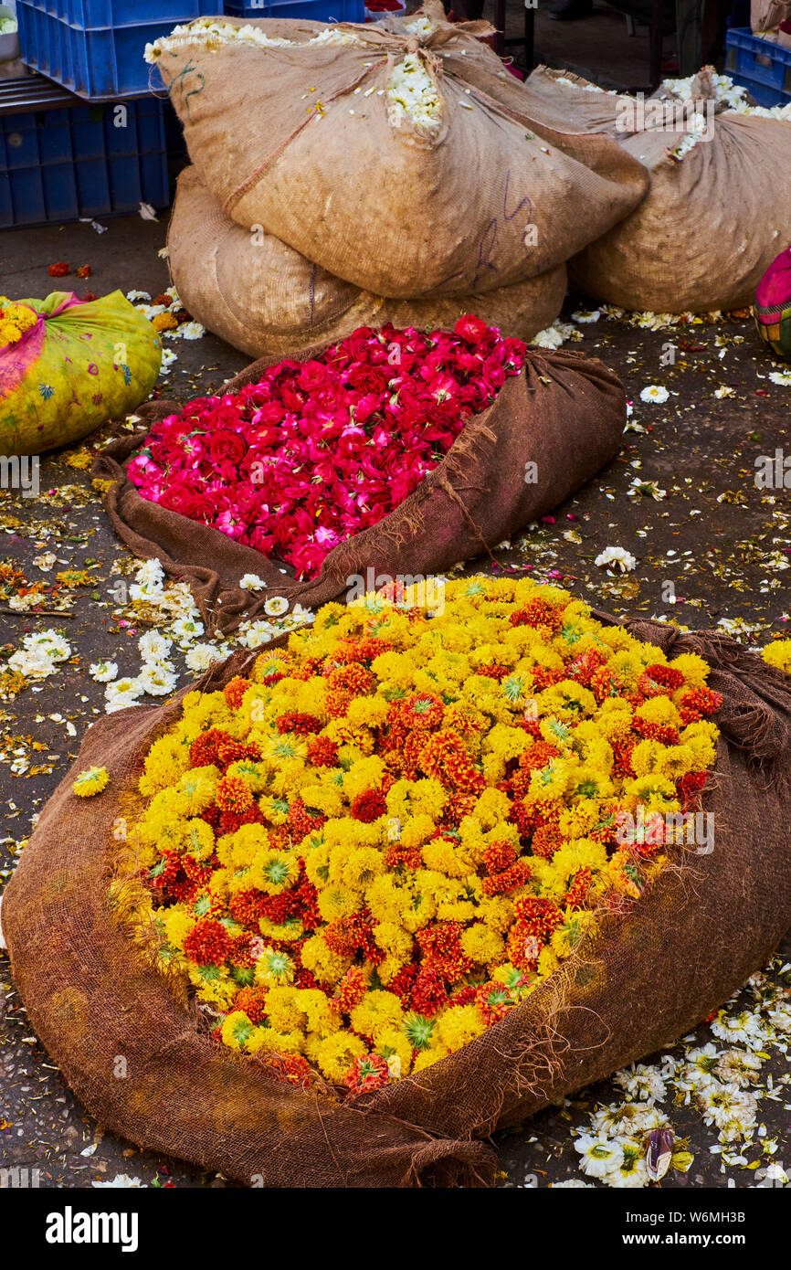 India, Rajasthan, Jaipur, flower market Stock Photo - Alamy