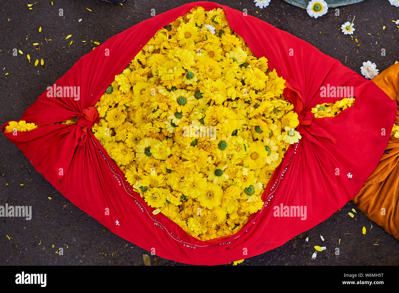 India, Rajasthan, Jaipur, flower market Stock Photo - Alamy
