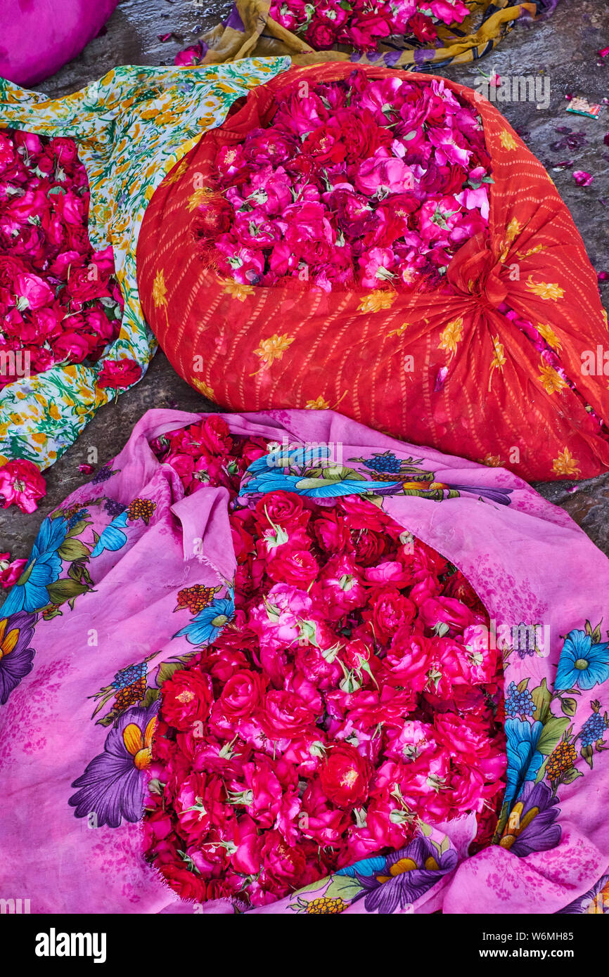 India, Rajasthan, Jaipur, flower market Stock Photo - Alamy