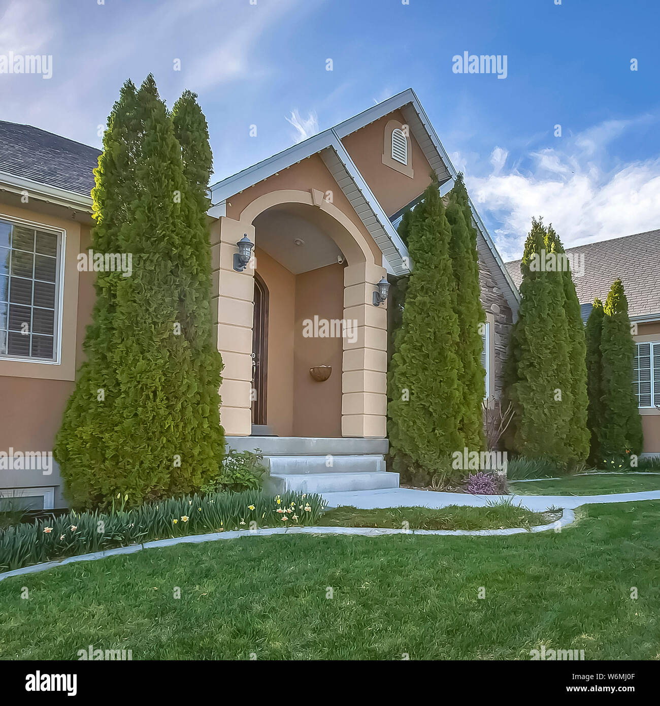 Square frame Yard and conical shaped trees at the facade of home under ...
