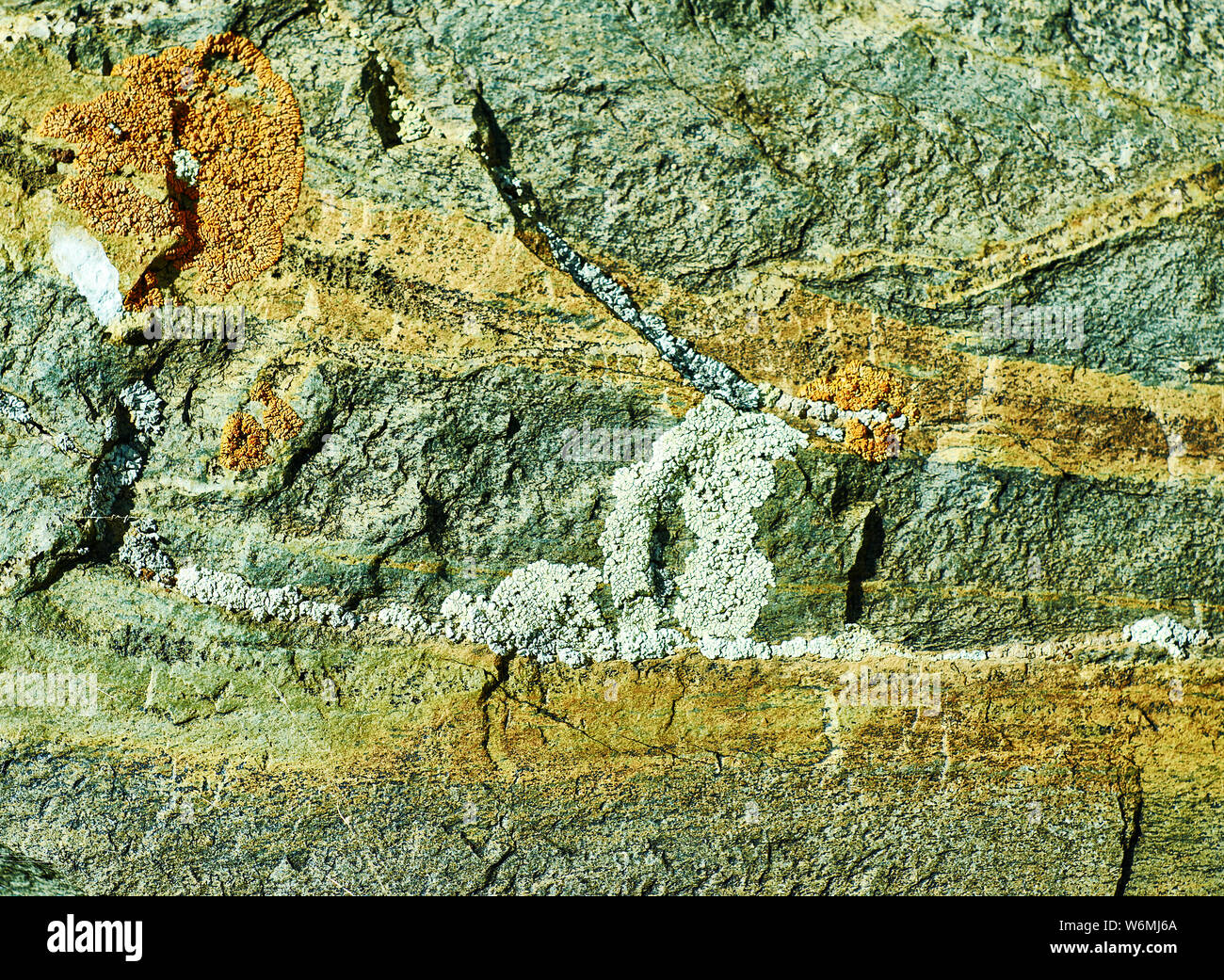 Mongolian Structure of surface of the stone,, large stone pattern Stock ...