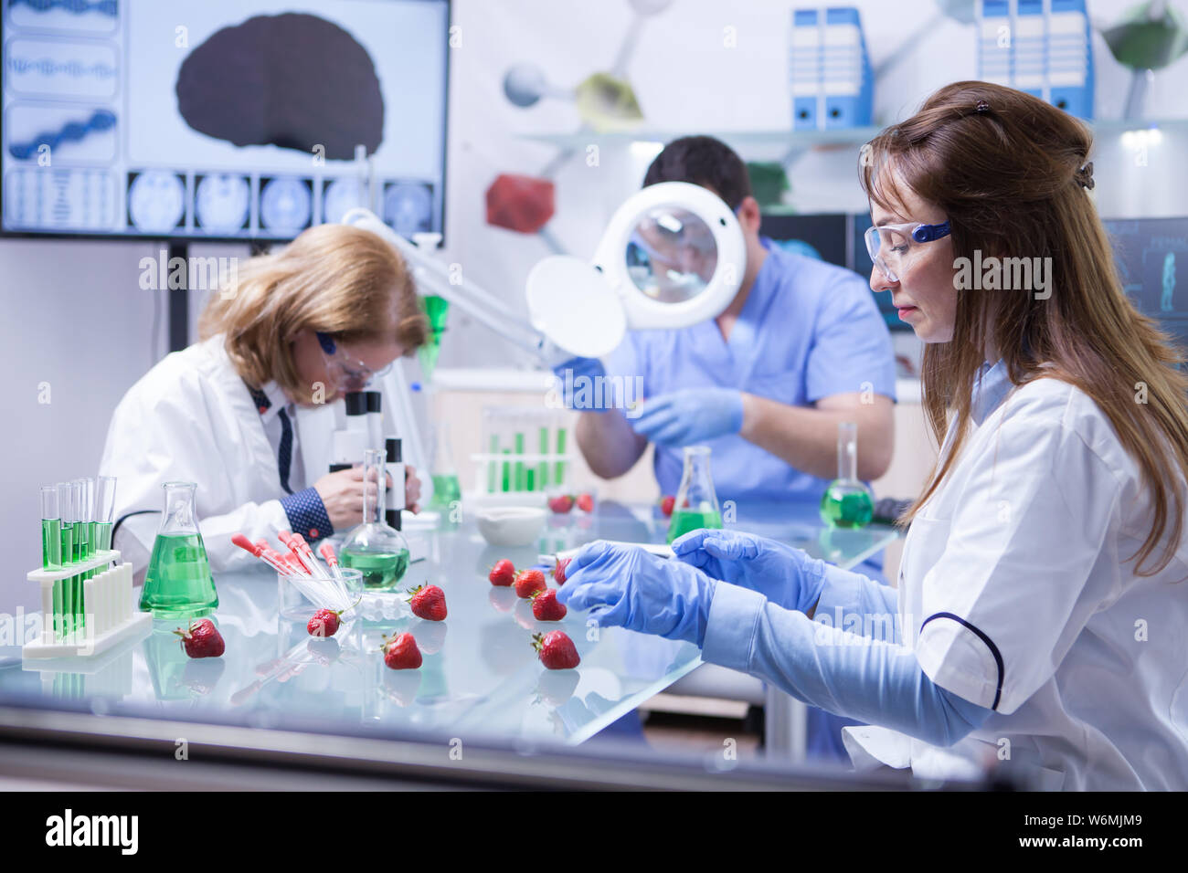 Food scientist working a research laboratory in white coat. Strawberry ...