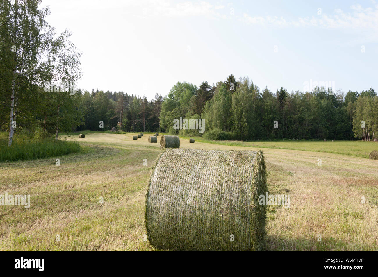 Making round bale Silage Stock Photo - Alamy