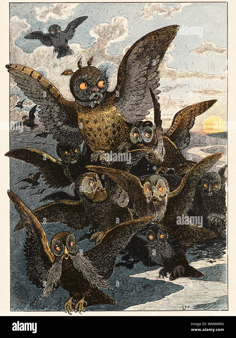 assorted wise old owls Stock Photo - Alamy