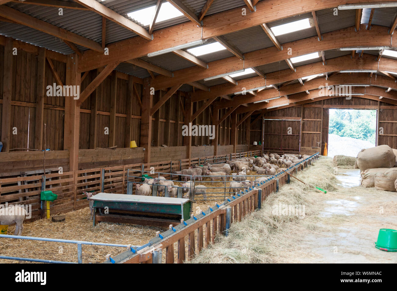 French Sheep farming Stock Photo - Alamy
