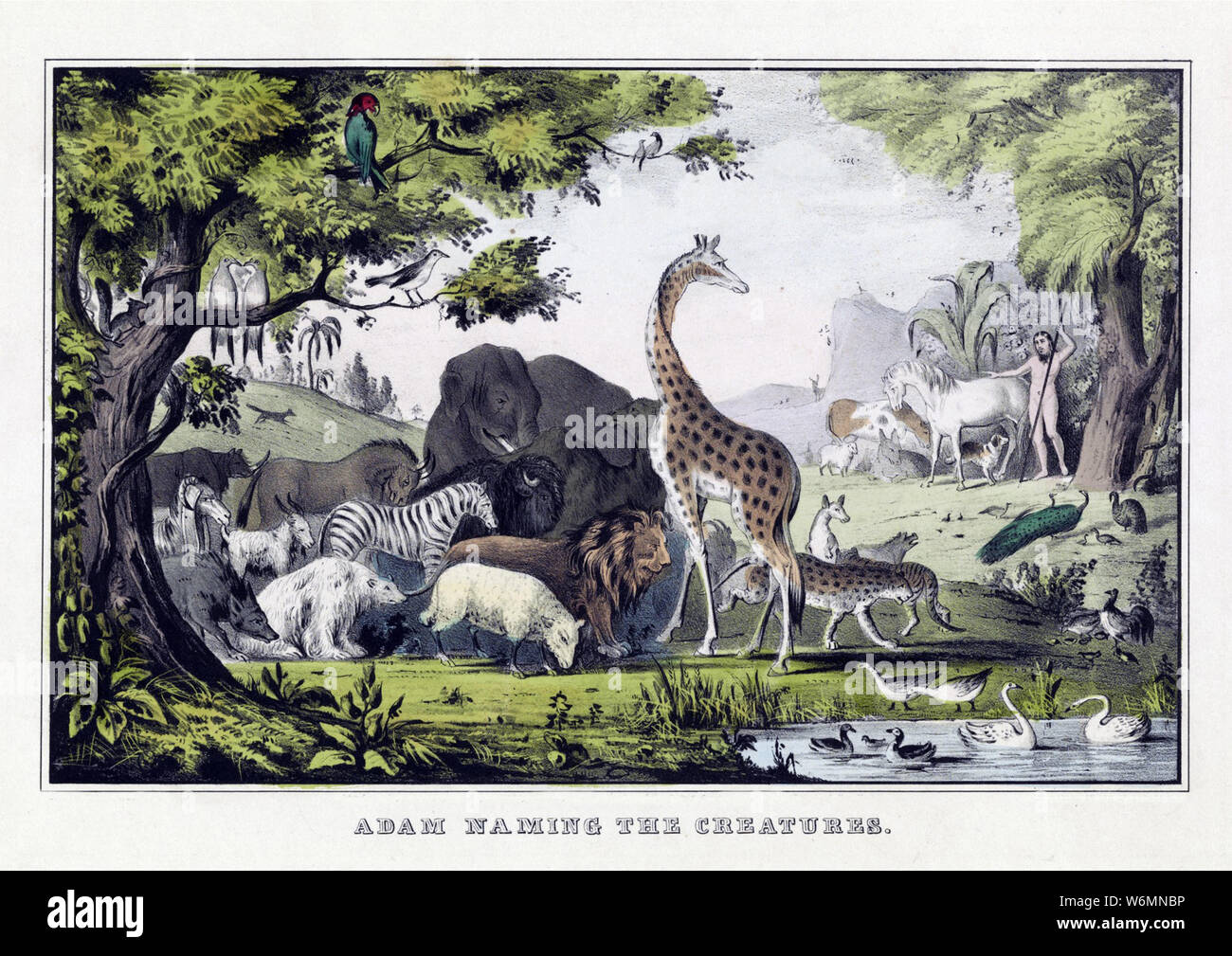 Adam naming the animals hi-res stock photography and images - Alamy