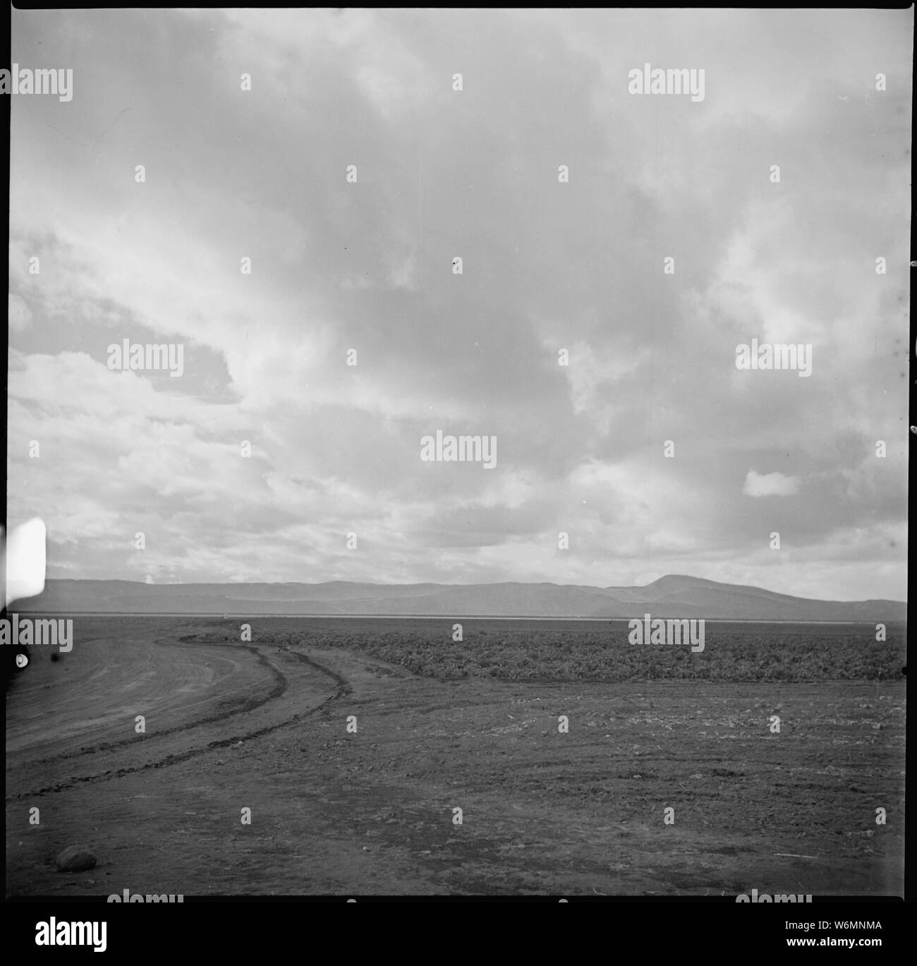 Tule Lake Relocation Center, Newell, California. View of farm Stock ...