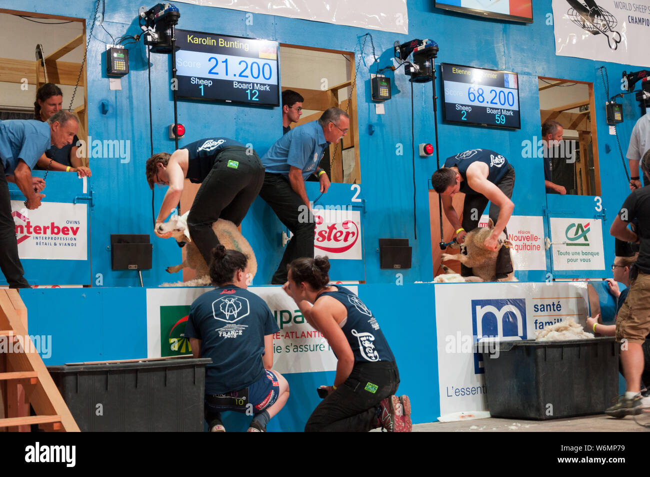 World Sheep Shearing Competition France 2019 Stock Photo - Alamy