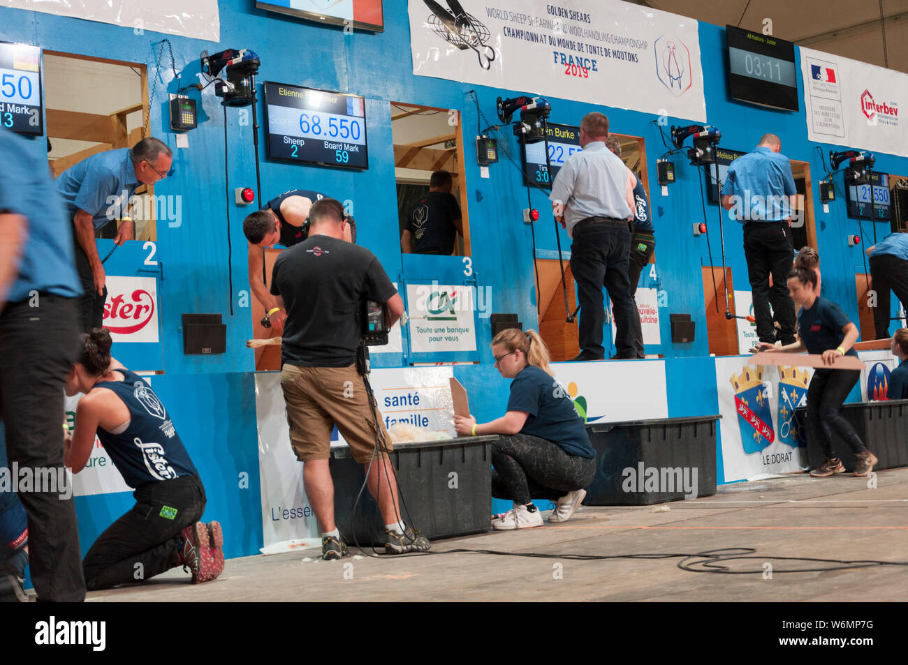 World Sheep Shearing Competition France 2019 Stock Photo - Alamy