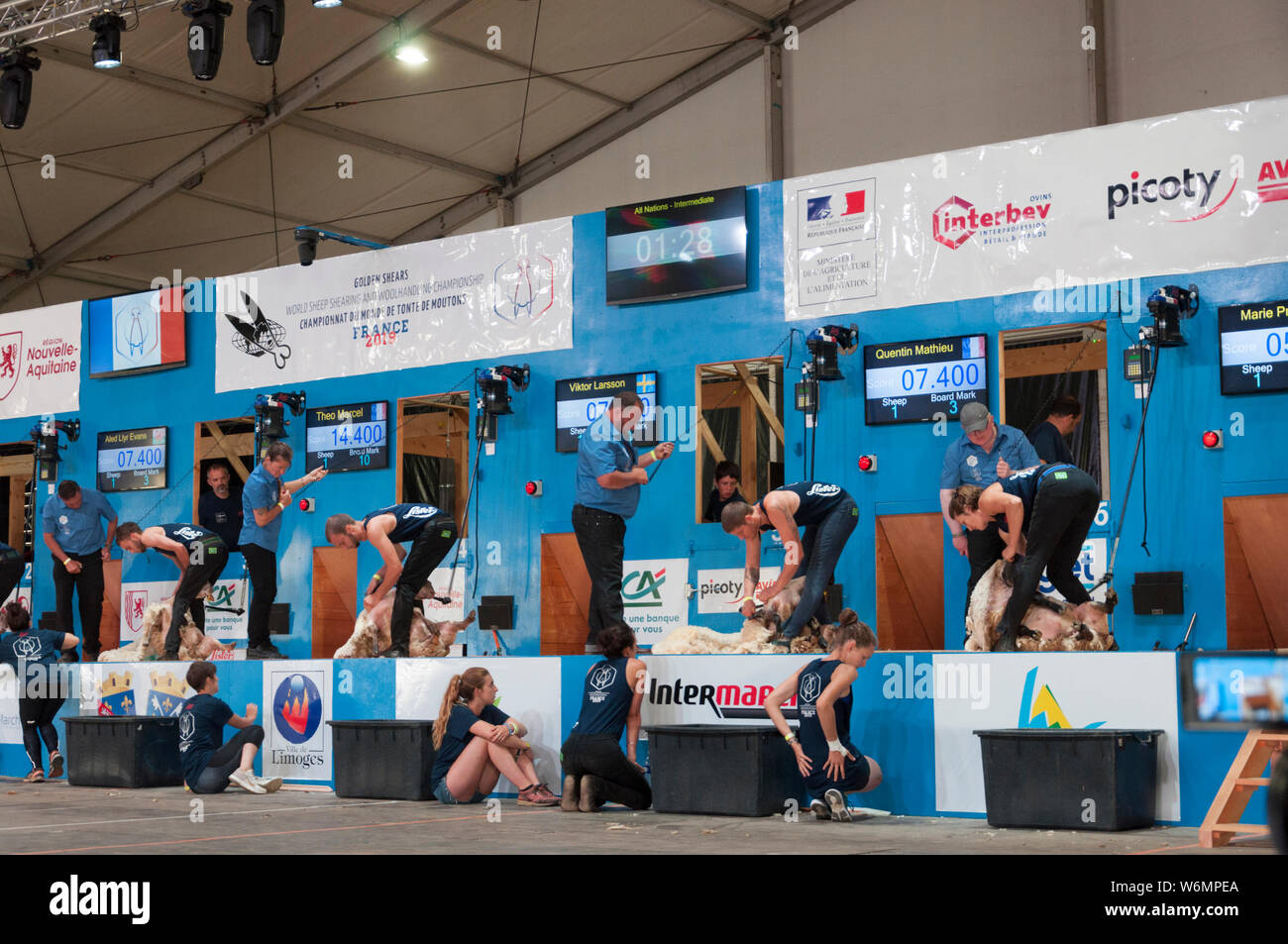 World Sheep Shearing Competition France 2019 Stock Photo - Alamy