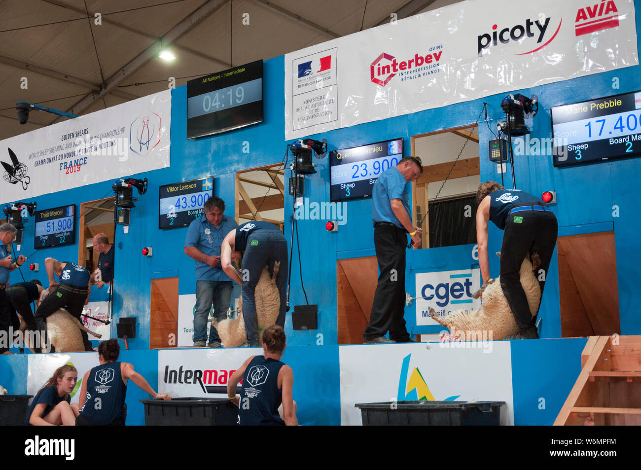 World Sheep Shearing Competition France 2019 Stock Photo - Alamy